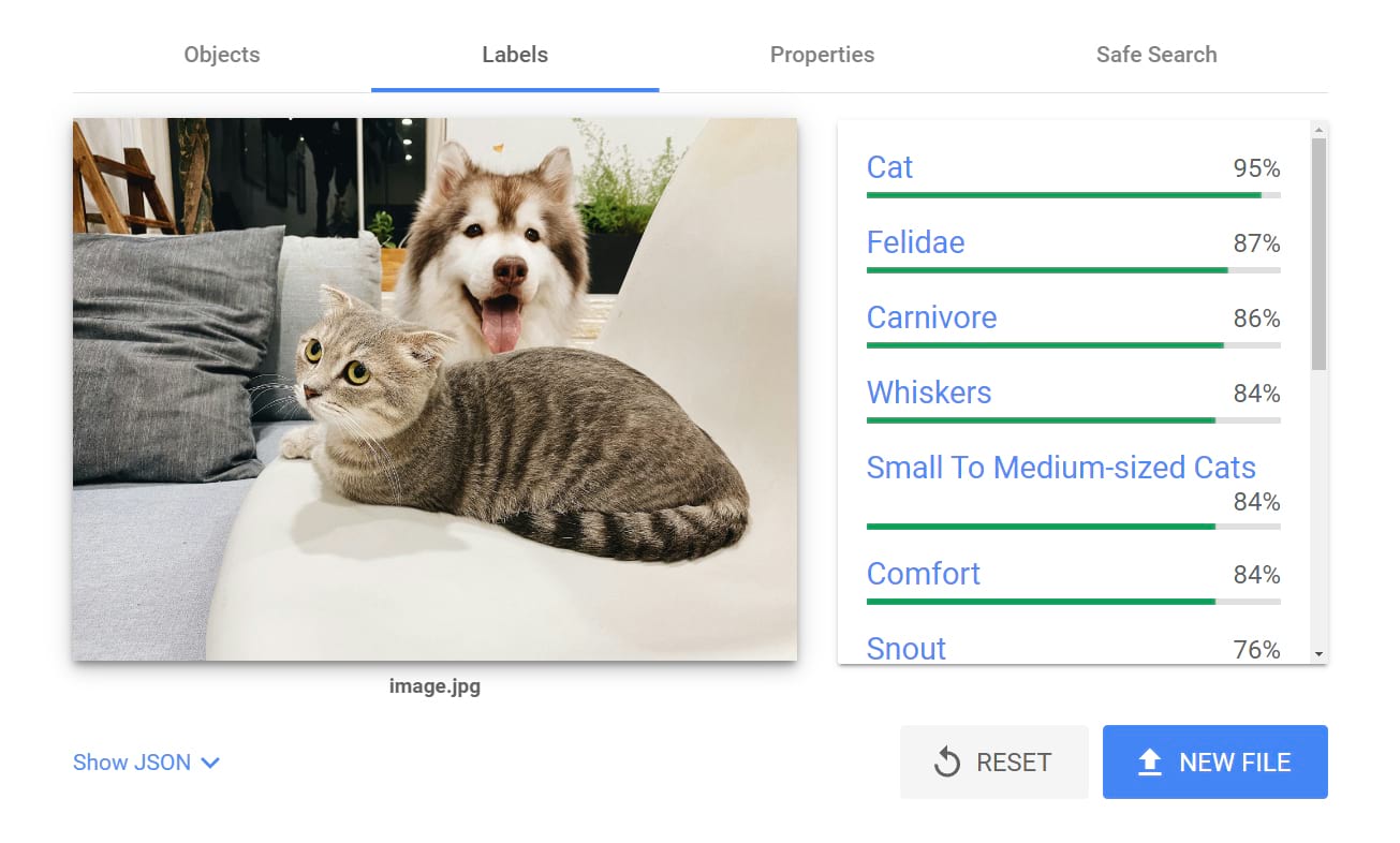 What Is Visual Search? Examples, Benefits, and Optimization Tips