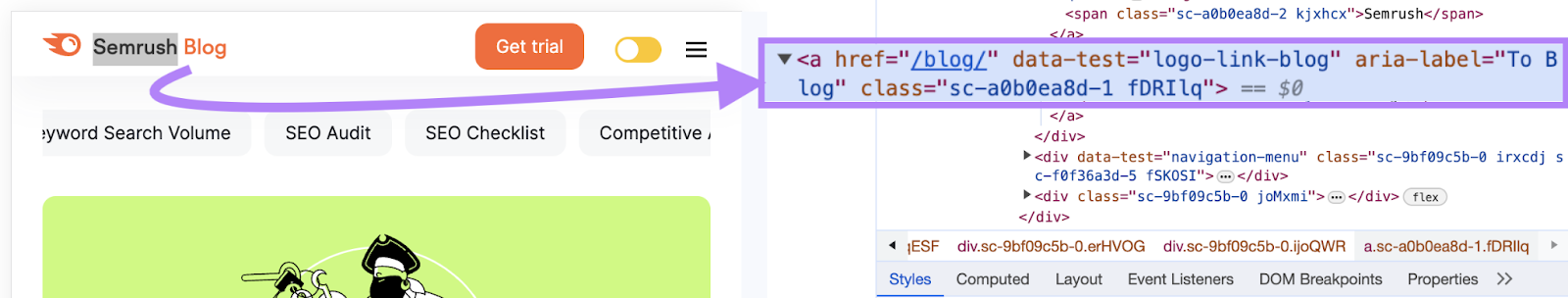 A Href Links: What They Are & How to Use Them