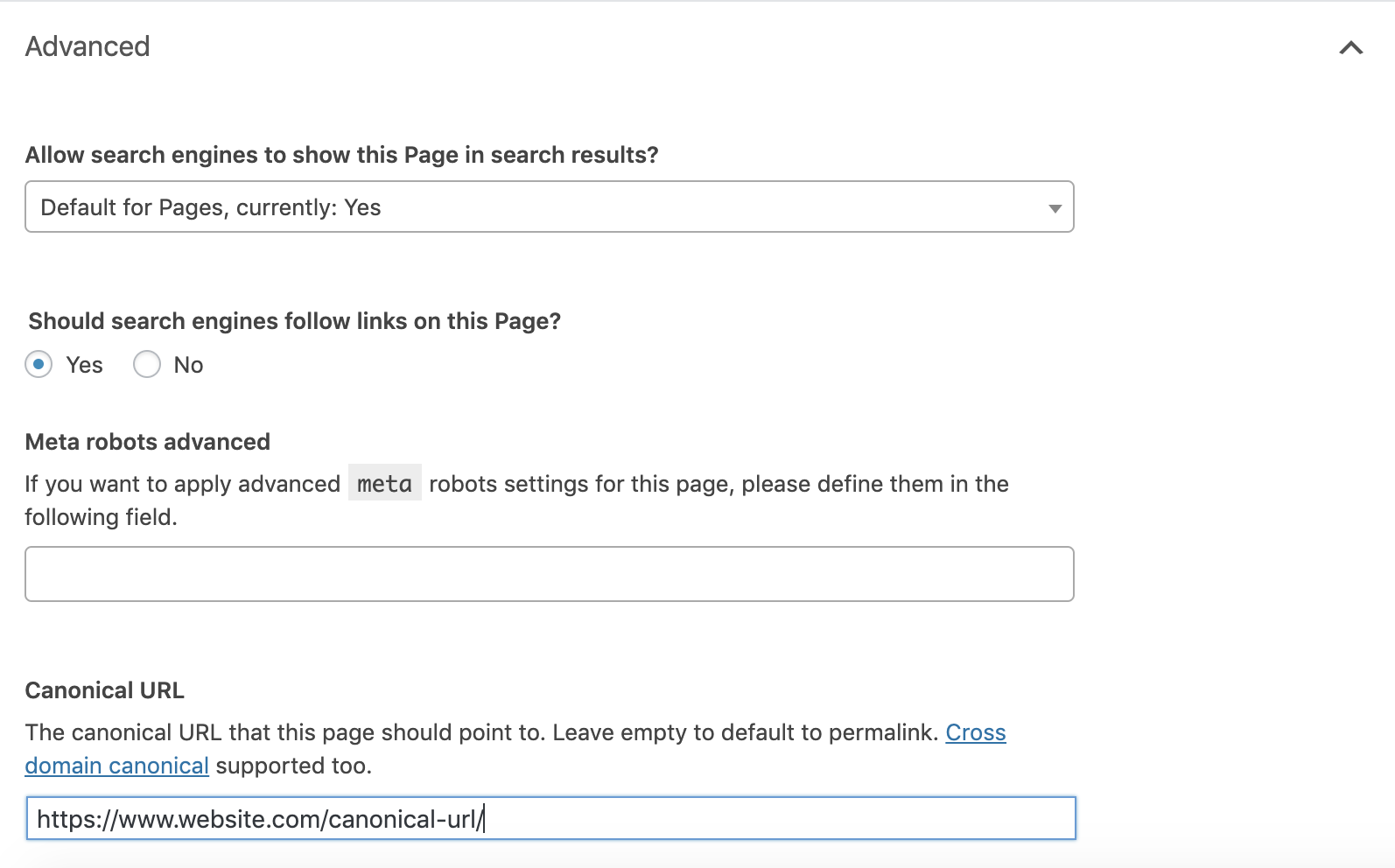 Canonical URLs und Canonical Tags: Ein Leitfaden für Einsteiger