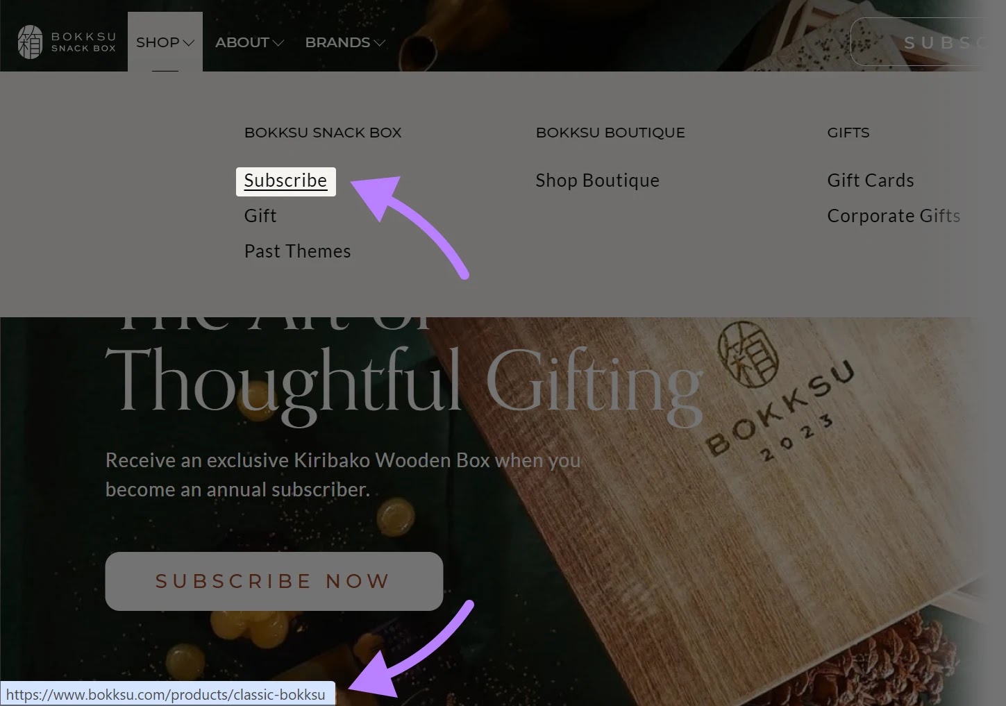 HTML Anchor Element: A Simple Guide for Beginners