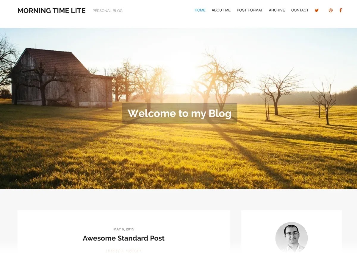 14 of the Best WordPress Blog Themes in 2024
