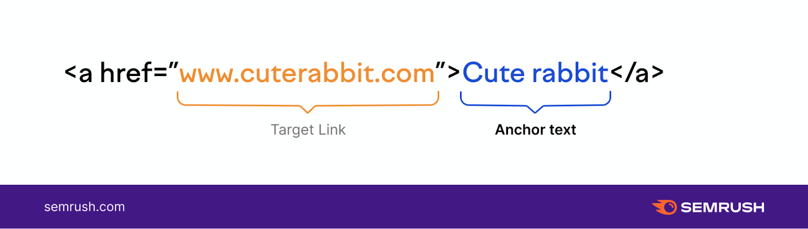 SEO Web Design: 10+ Tips to Build a Better Website