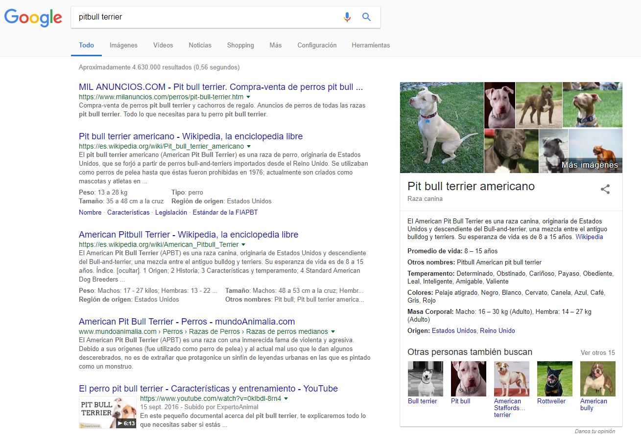¿Qué es el knowledge graph de Google y cómo afecta al SEO?